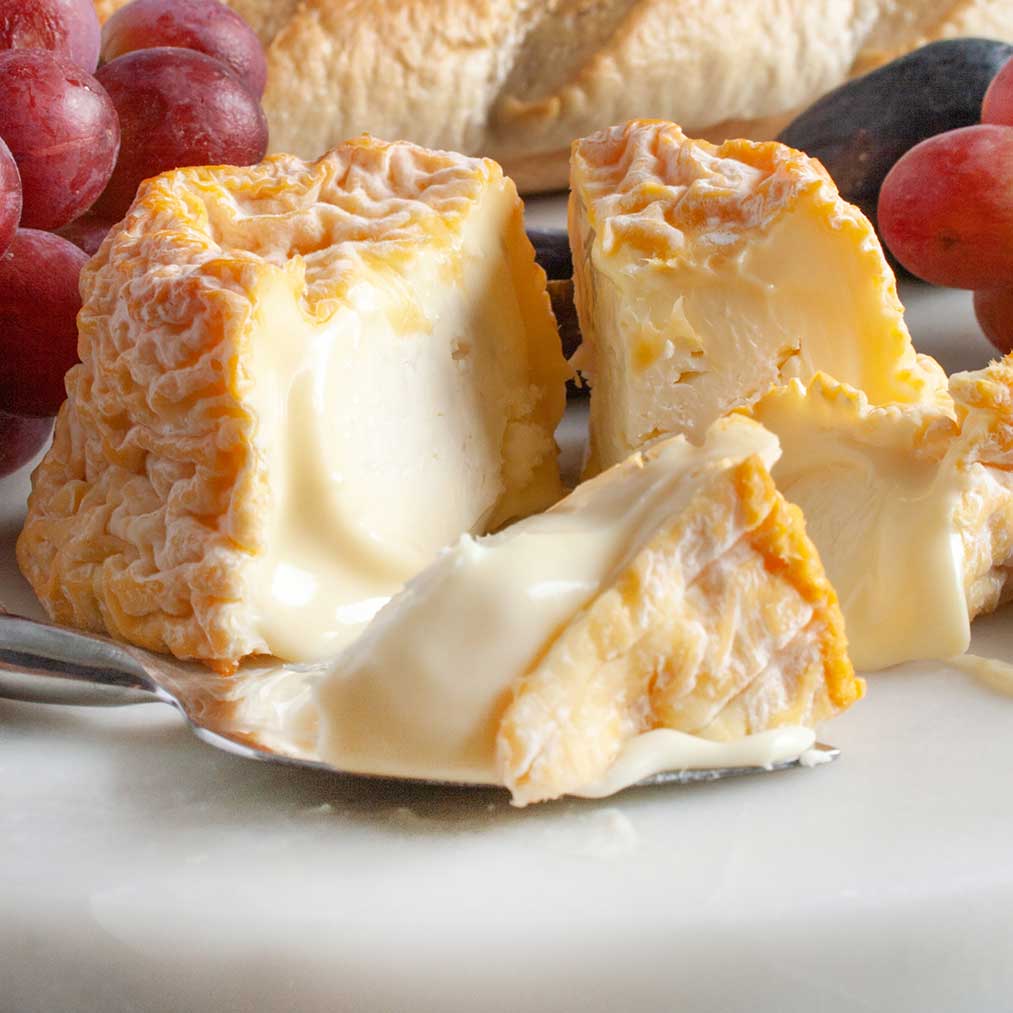 igourmet - Langres AOC Cheese
