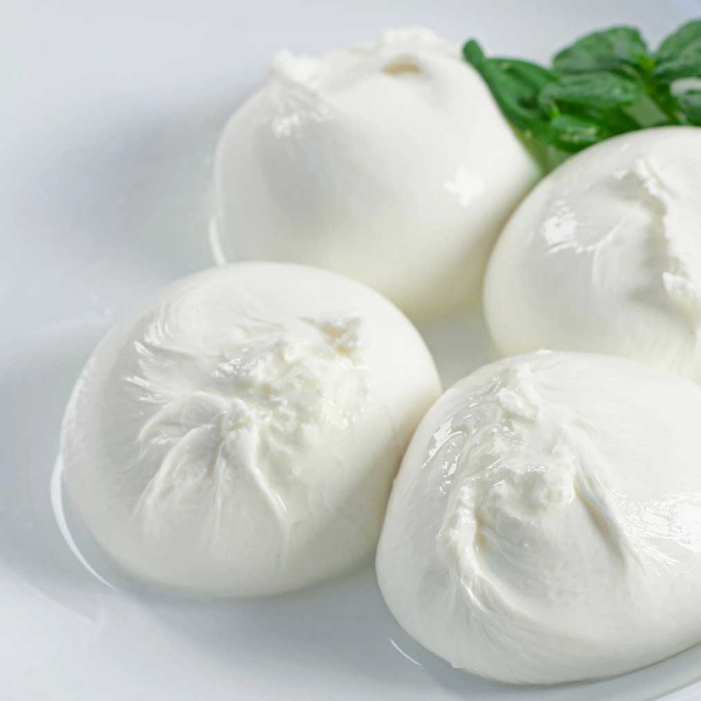 igourmet - Burratina Cheese