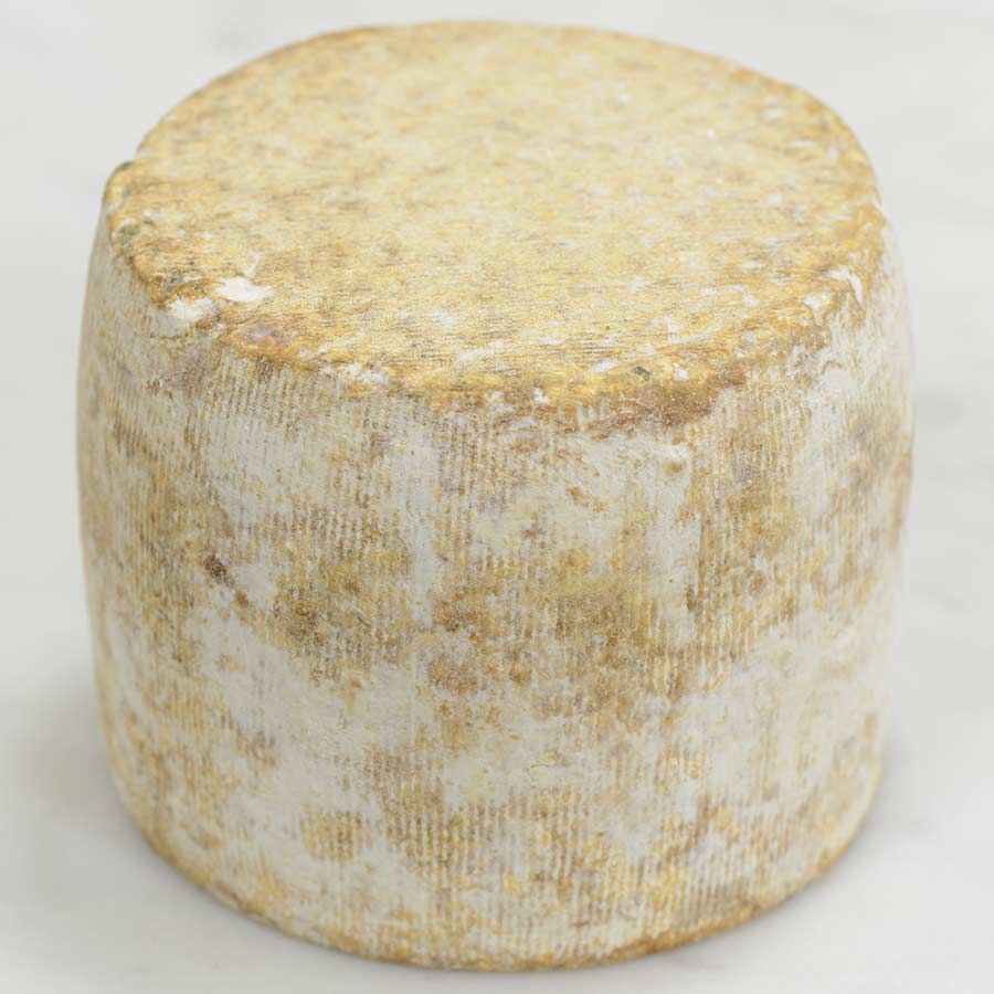 Petit Tomette Brebis – Traditional Basque Sheep’s Milk Cheese | iGourmet