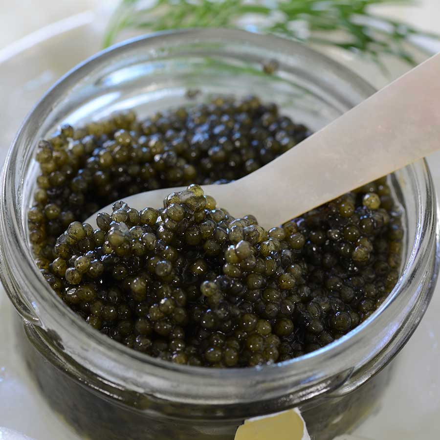 Emperior American Paddlefish Caviar | iGourmet