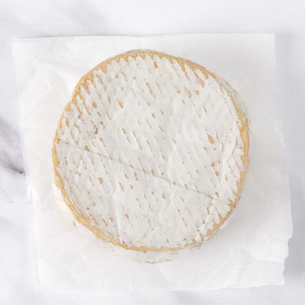 Von Trapp Farmstead Mount Alice Brie Cheese Mini | iGourmet